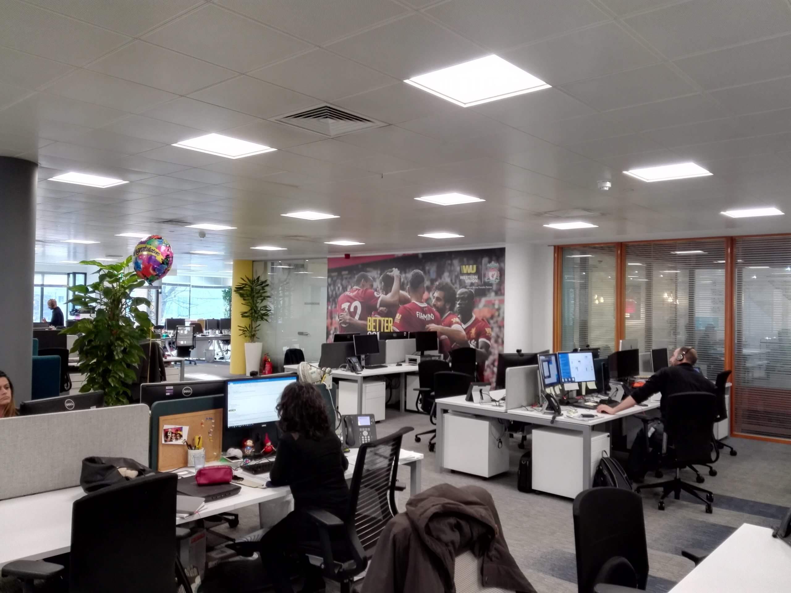 Understanding The Impact Of Printed Wall Graphics | Wallace Print